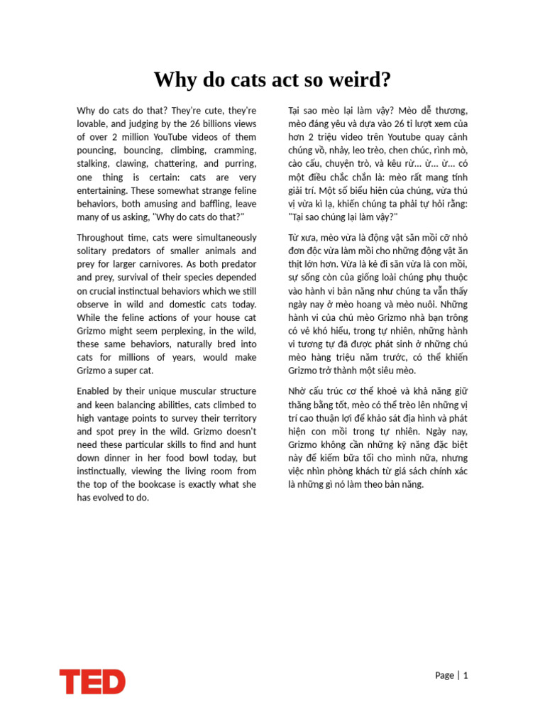 Why Do Cats Act So Weird | PDF