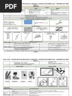 CVX Codes | PDF | Vaccines | Animal Viral Diseases