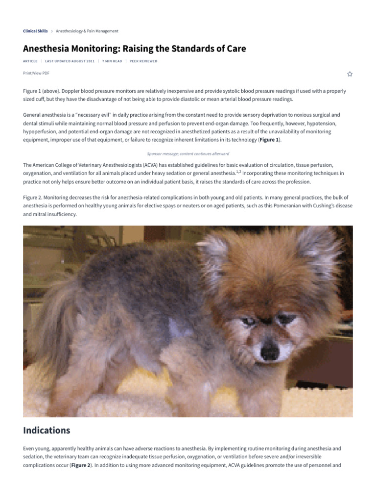 Anesthesia Monitoring - Raising The Standards of Care | PDF ...