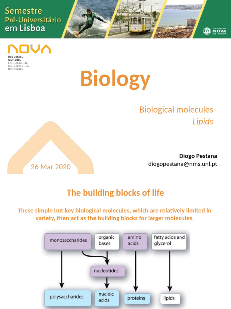 7Â Aula Biology SPU15 (Biological Molecules Lipids) | PDF | Fatty Acid ...