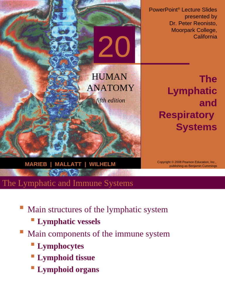Chapter - Lymphatics and Respiratory | PDF | Lymphatic System ...