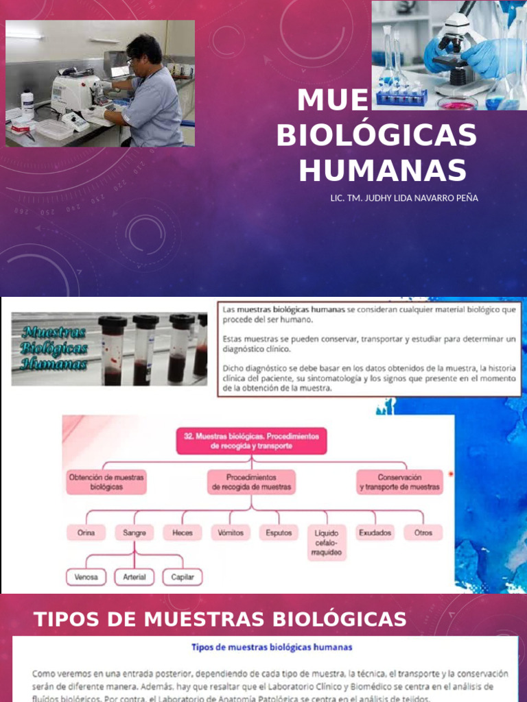Muestras Biologicas Humanas | PDF | Sangre | Lipoproteína