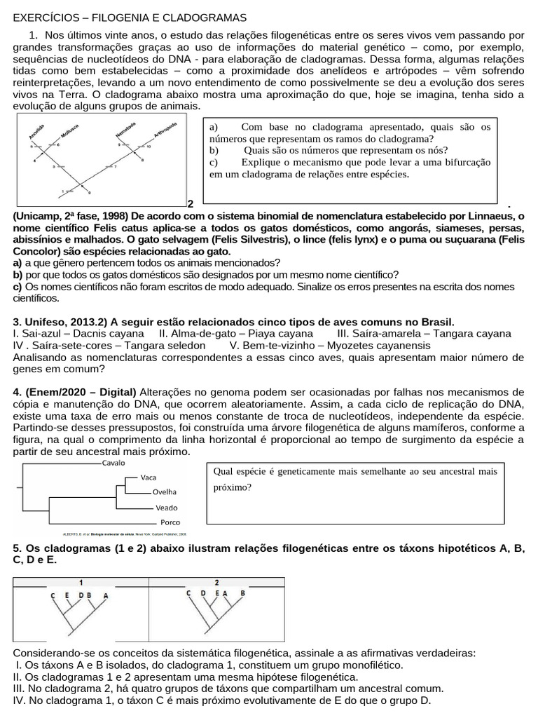 atividade cladograma | PDF | Filogenética | Genética