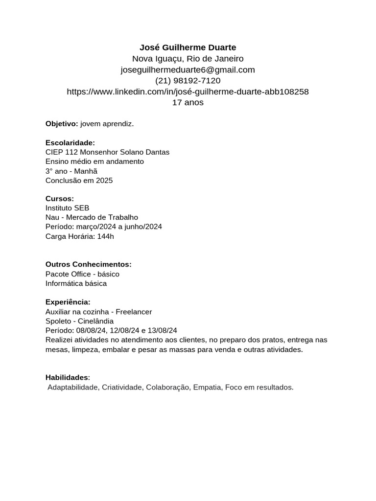 Currículo José Guilherme II | PDF