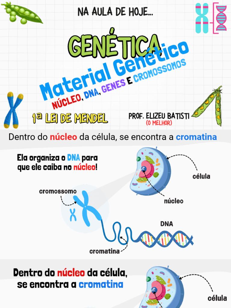 Cópia de Genética 1 Lei de Mendel (Versão 2) | PDF | DNA | RNA