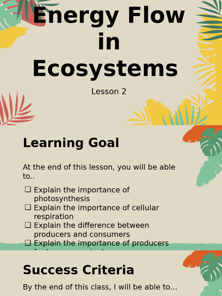 Energy Flow in Ecosystems | PDF | Photosynthesis | Plants