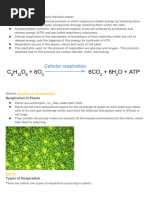 Respiration in Plants Ppt | PDF