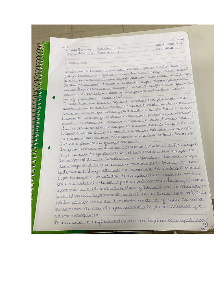 INFORME UP3 pfd | PDF