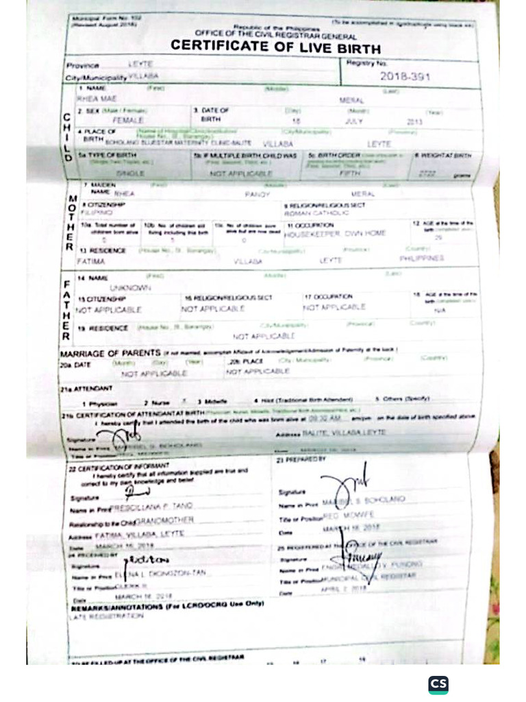 Rhea Meral Livebirth | PDF