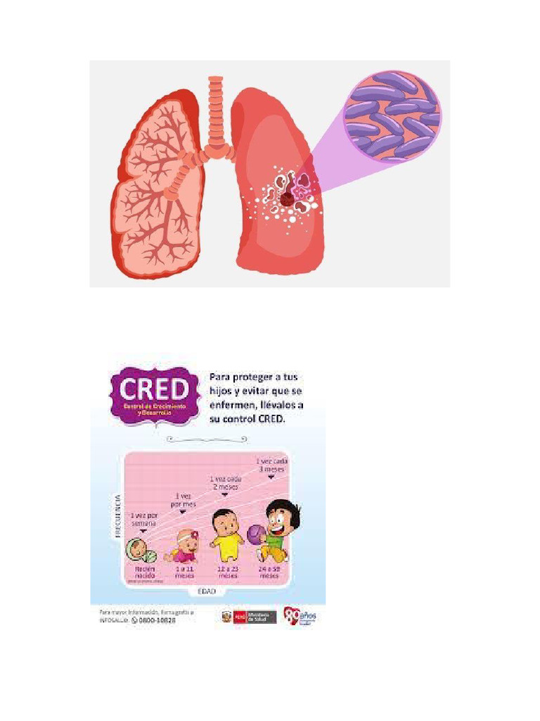 Cred Imagen (1) | PDF