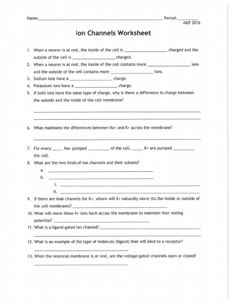 Ion Channels WS | PDF