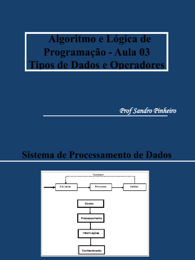 Algoritmo e Lógica | PDF | Tipo de dados | Números