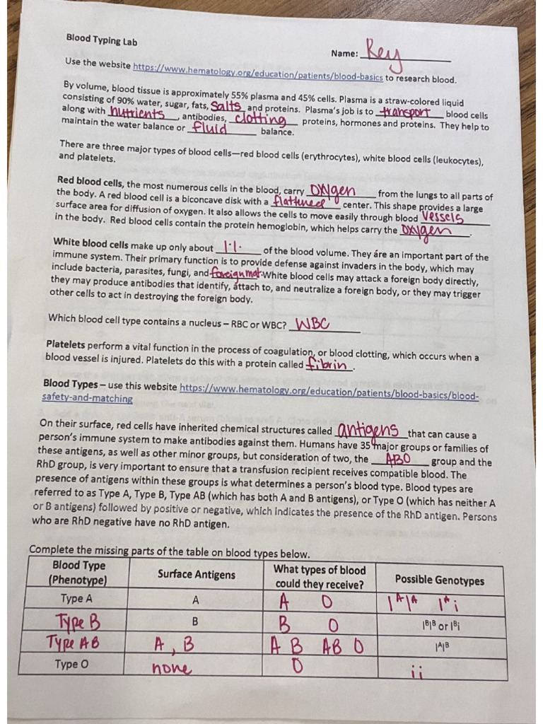 6B.8 Blood Type Lab Key | PDF