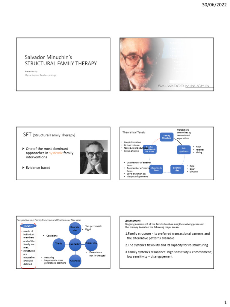 3 Salvador Minuchin's STUCTURAL FAMILY THERAPY | PDF | Living ...