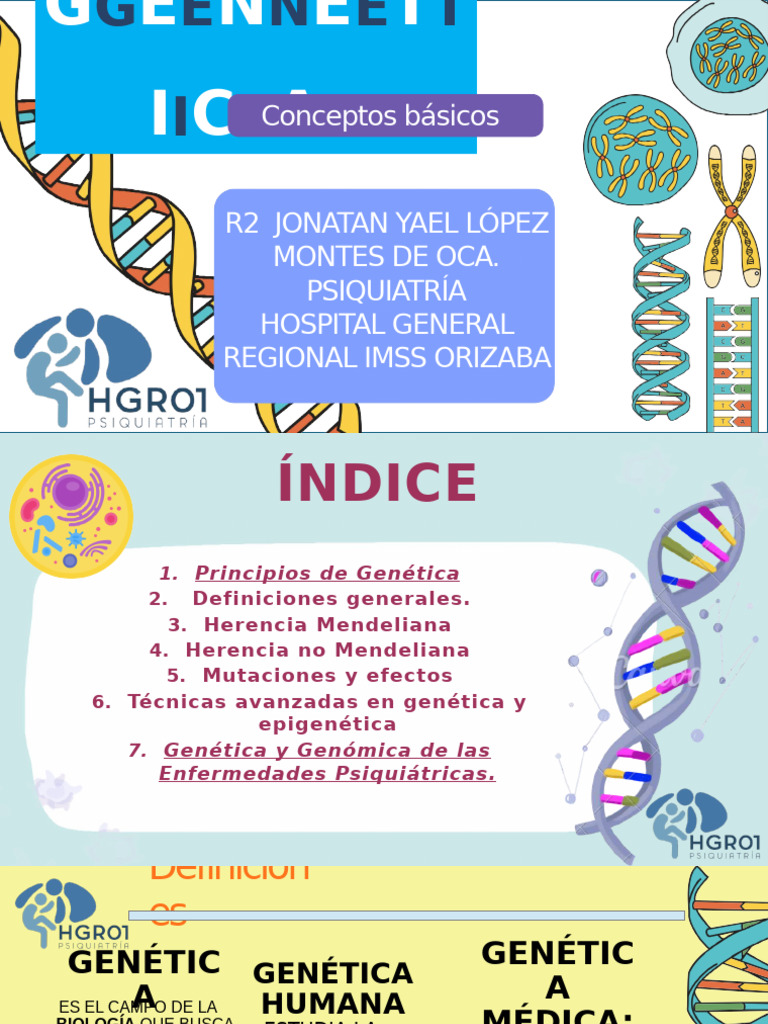 Conceptos Básicos de Genética | PDF | Dominancia (Genética) | Alelo