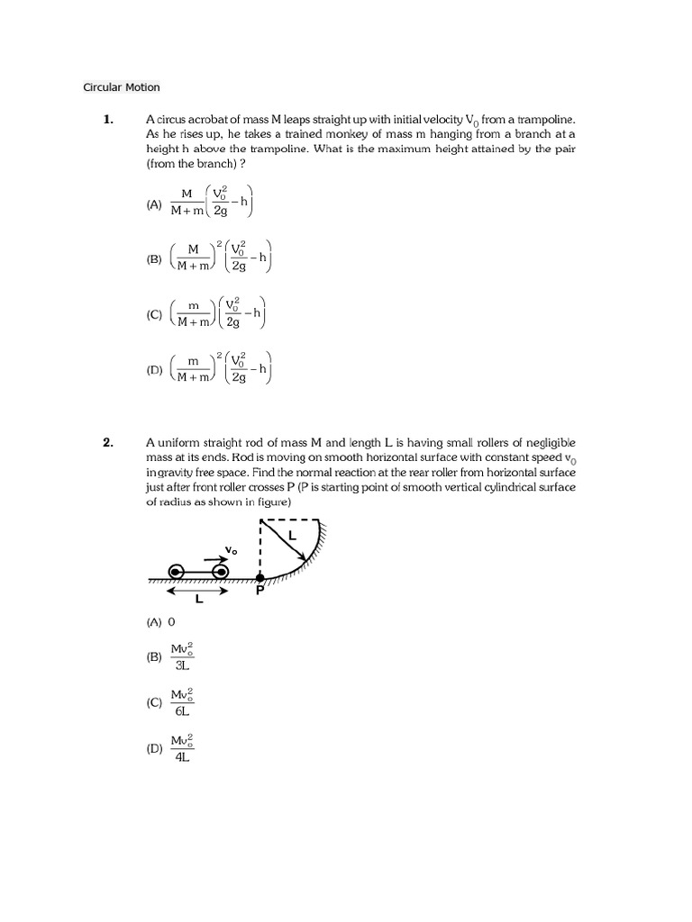 Circular Motion SRG Sheet | PDF