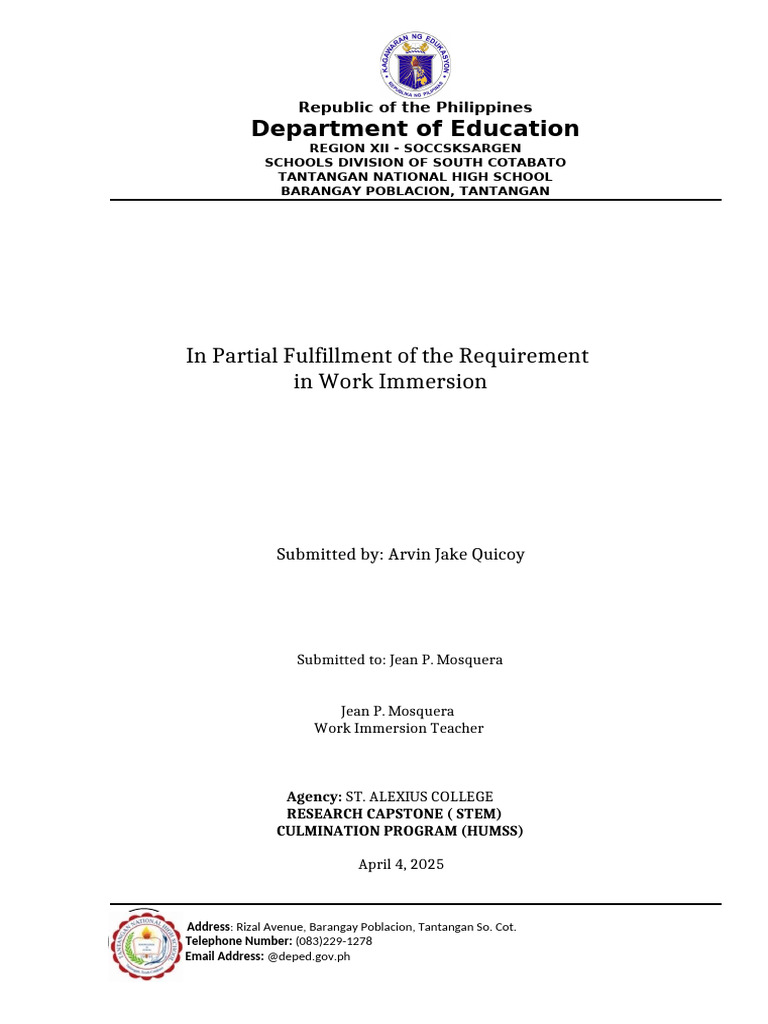 Work Immersion Project Submission | PDF