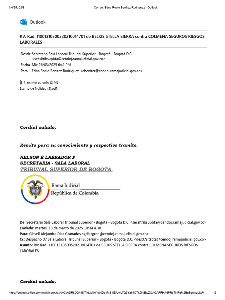 07MemorialIncidenteNulidad 147 | PDF | Debido al proceso | Demanda judicial