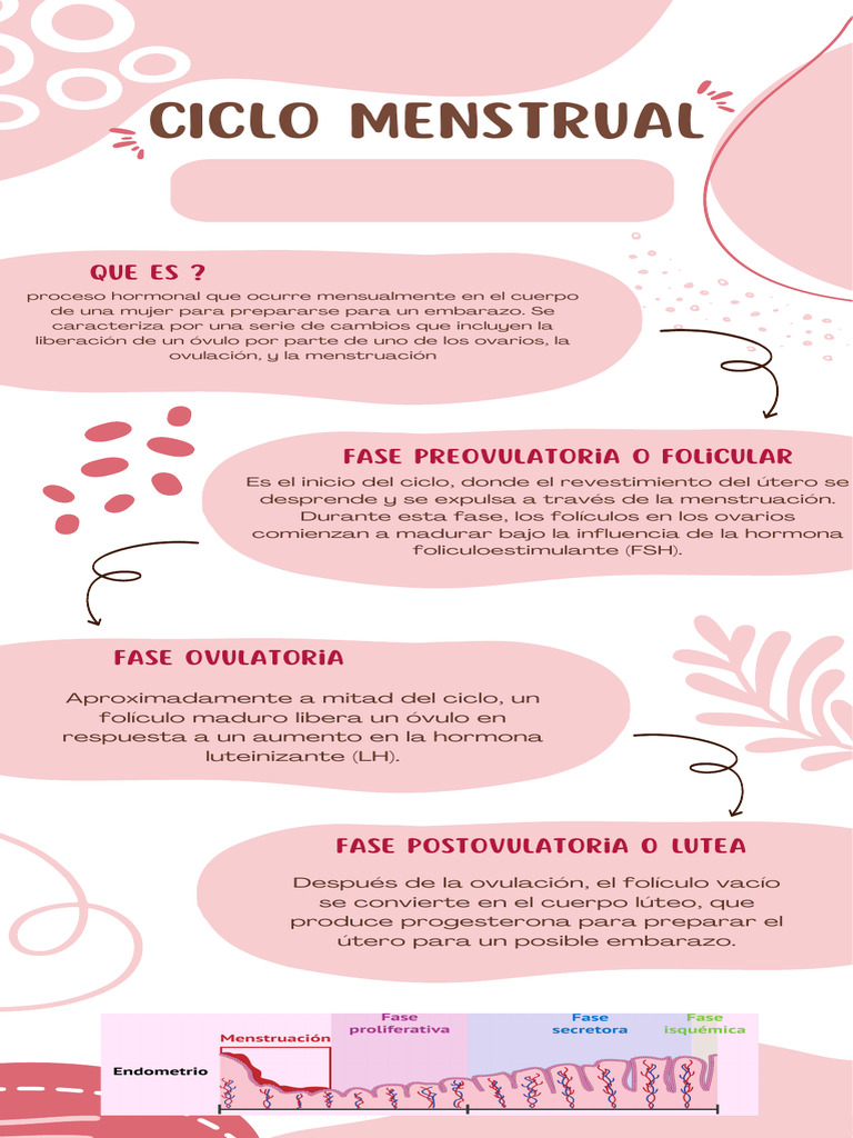 Infografía Ciclo Menstrual | PDF