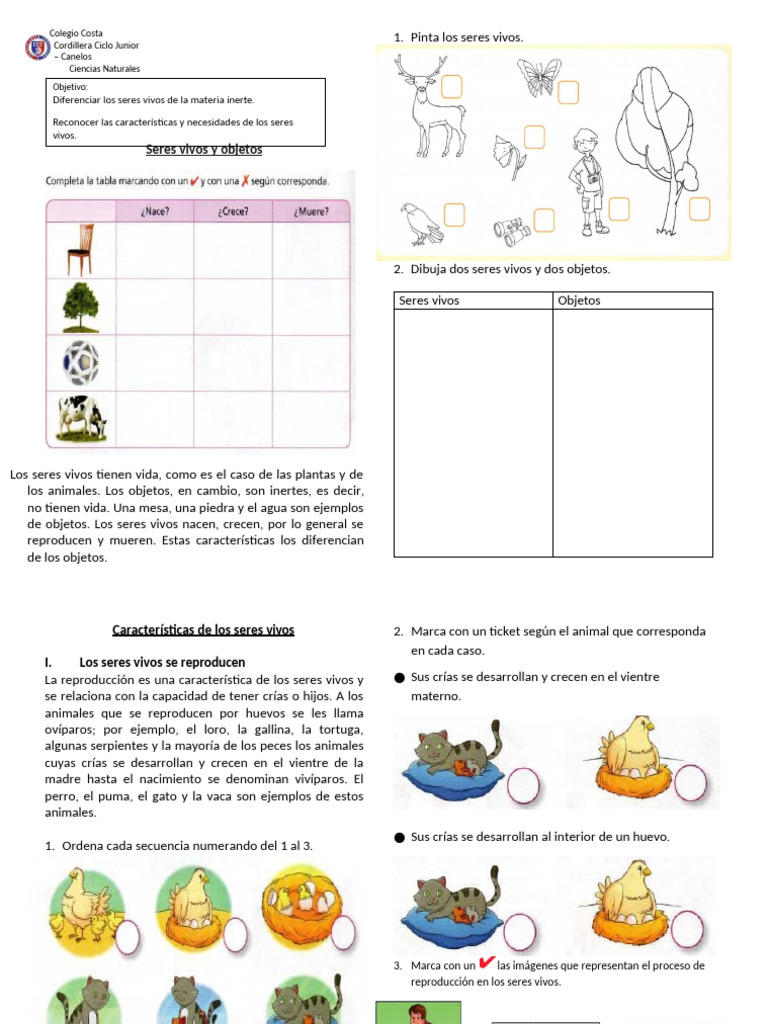 646482410-los-seres-vivos-y-objetos | PDF | Reproducción | Zoología