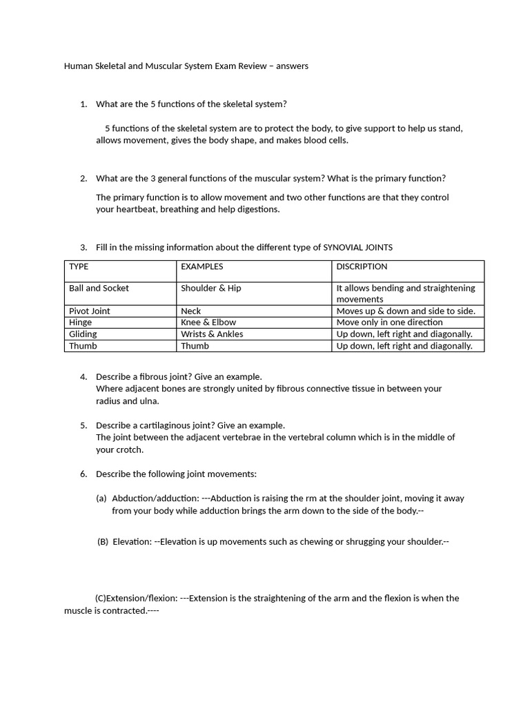 Human Skeletal and Muscular System Exam Review | PDF | Anatomical Terms ...