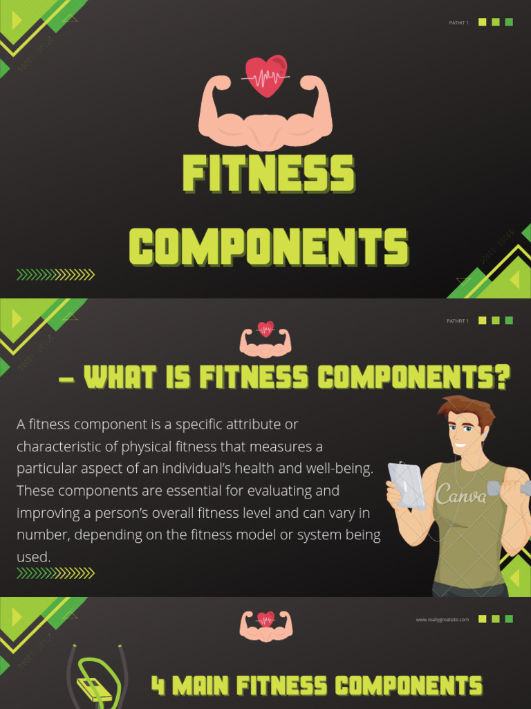 Fitness Components | PDF