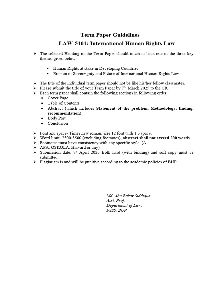 International Human Rights Term Paper Guide | PDF