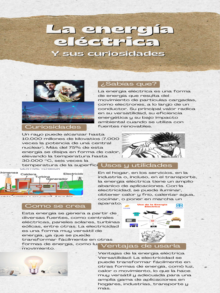 Brown Vintage Geography Infographic 20250403 210256 0000 | PDF