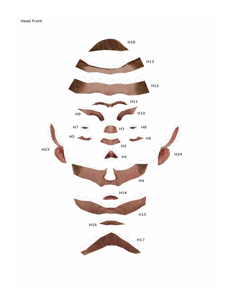 Robert Head Lined | PDF