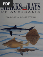 Queensland Fish Size and Bag Limits | PDF