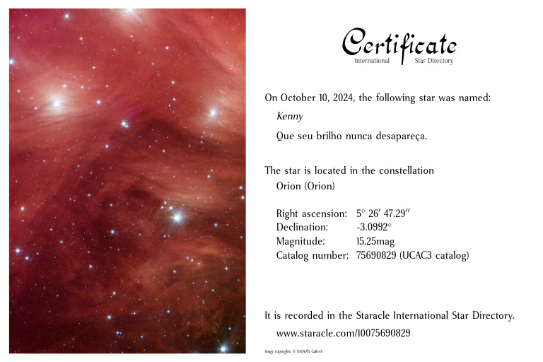 Certificate 10075690829 | PDF