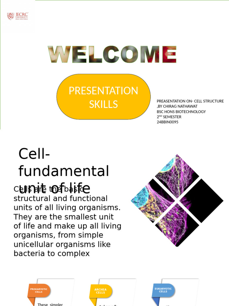 The Cell Structure | PDF | Cell (Biology) | Organelle