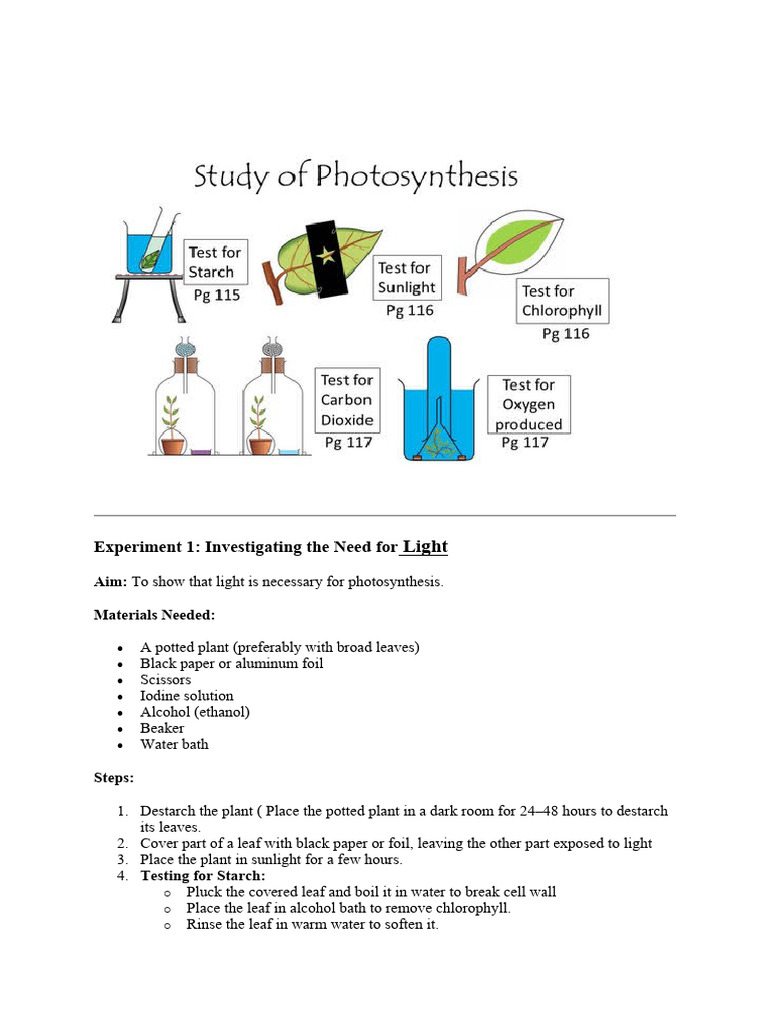 Experiments Photosynthesis PDF | PDF | Leaf | Photosynthesis