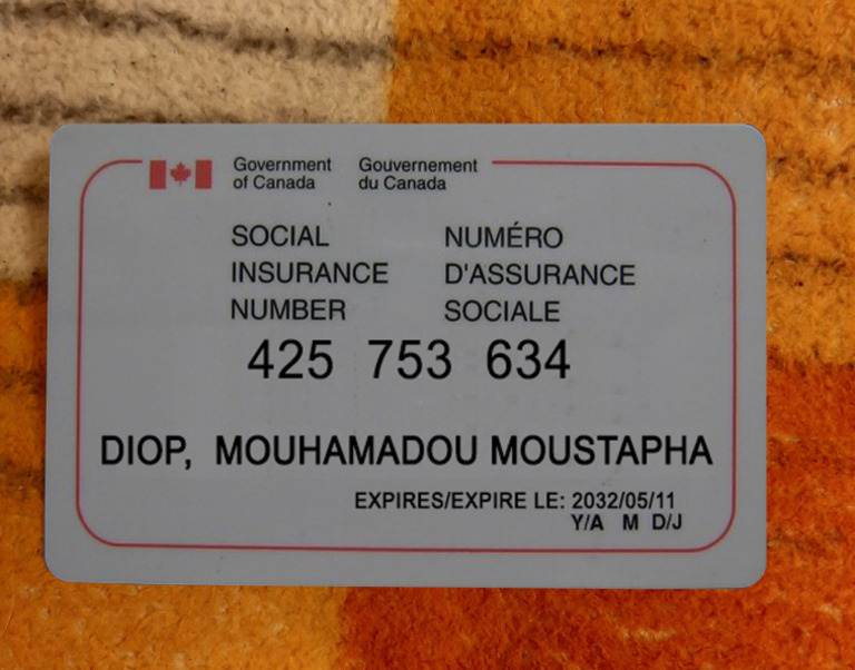 Canada Sin - Diop | PDF