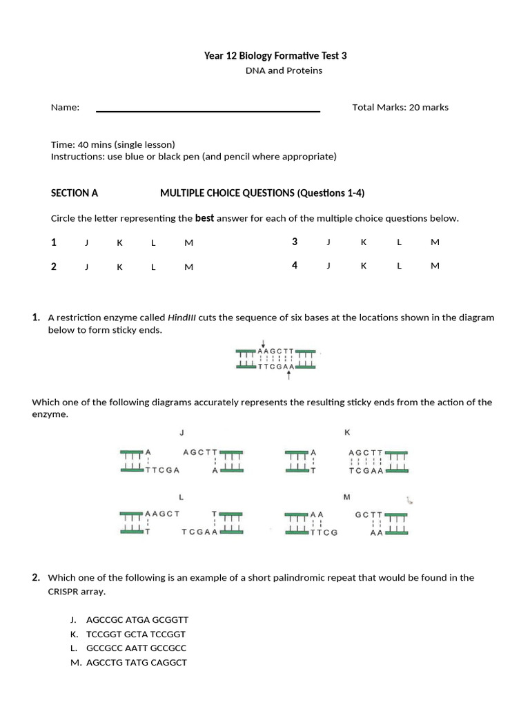 DNA and Proteins - Formative 3 Biotechnology Questions | PDF | Growth ...