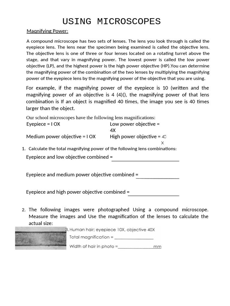 Using Microscopes - Worksheet | PDF | Equipment | Glass Engineering And Science