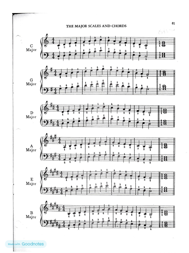 Beginner-Piano-Scales in 1 Octave | PDF