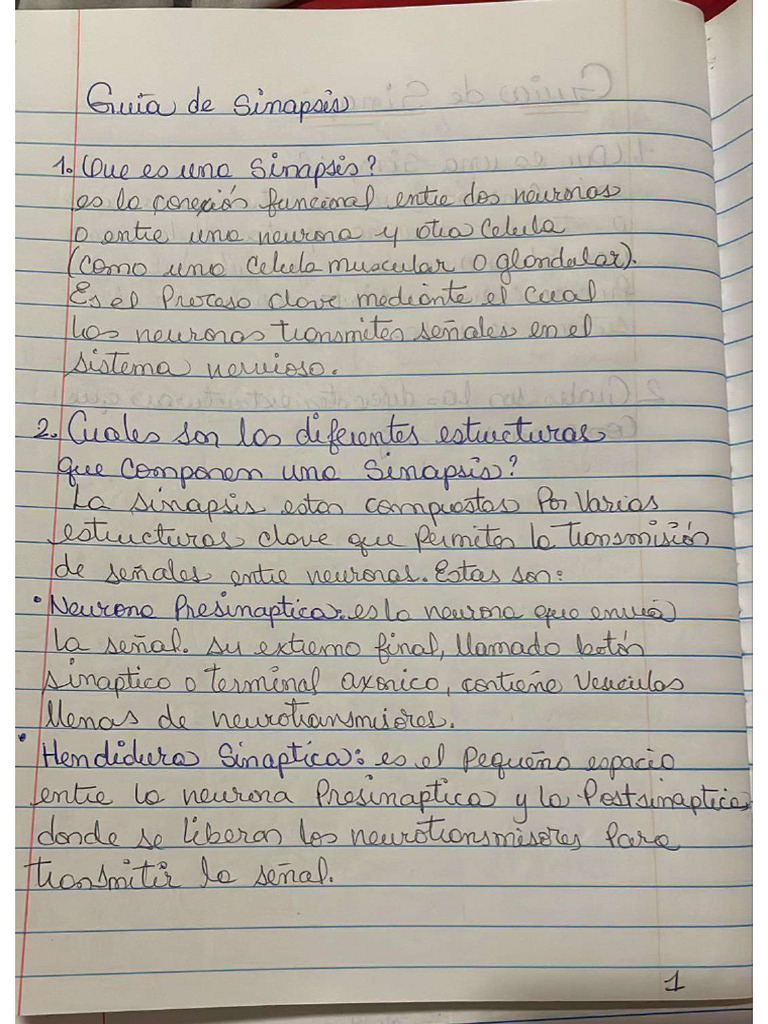 Guia de Sinapsis | PDF