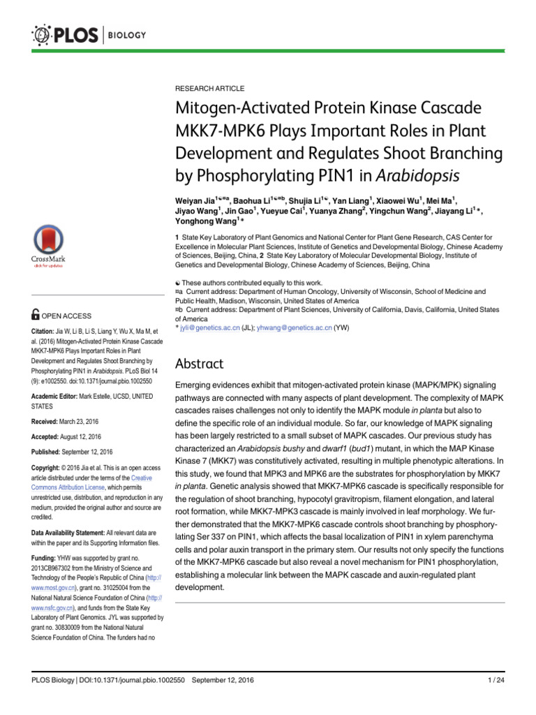 ein Kinase Cascade MKK7-MPK6 Plays Important Roles in Plant Development ...