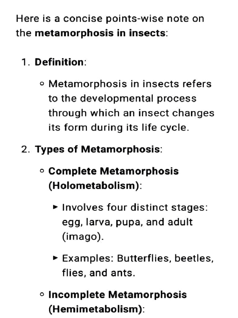 Insect Metamorphosis Explained | PDF | Pupa | Insects