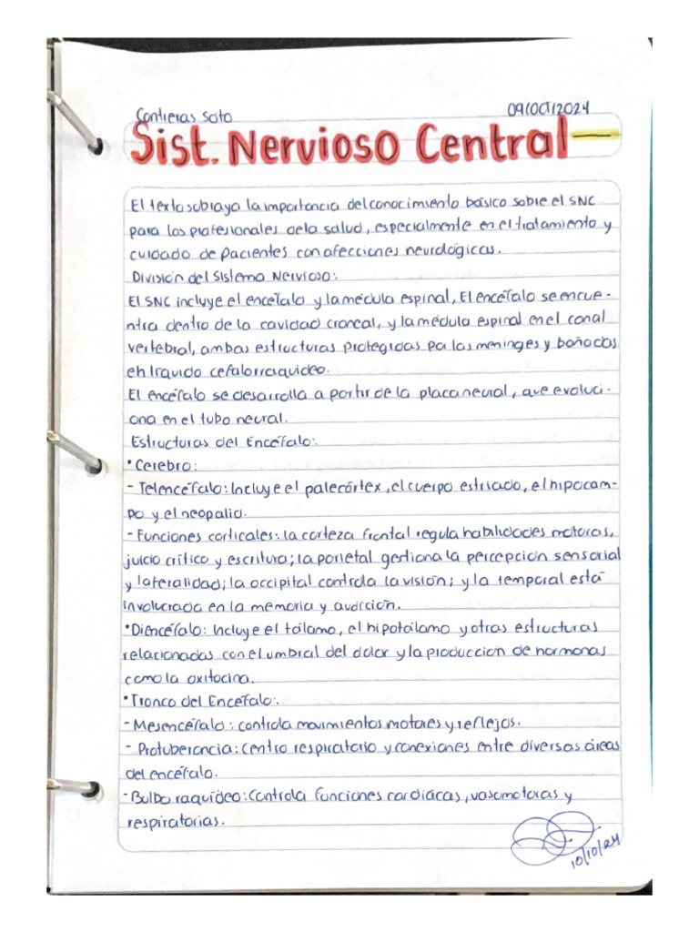 Resumen - SNC | PDF