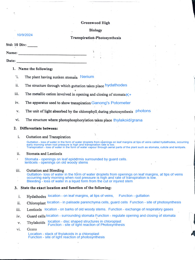 Photosynthesis-Transpiration Worksheet (With Answers) | PDF | Stoma | Leaf