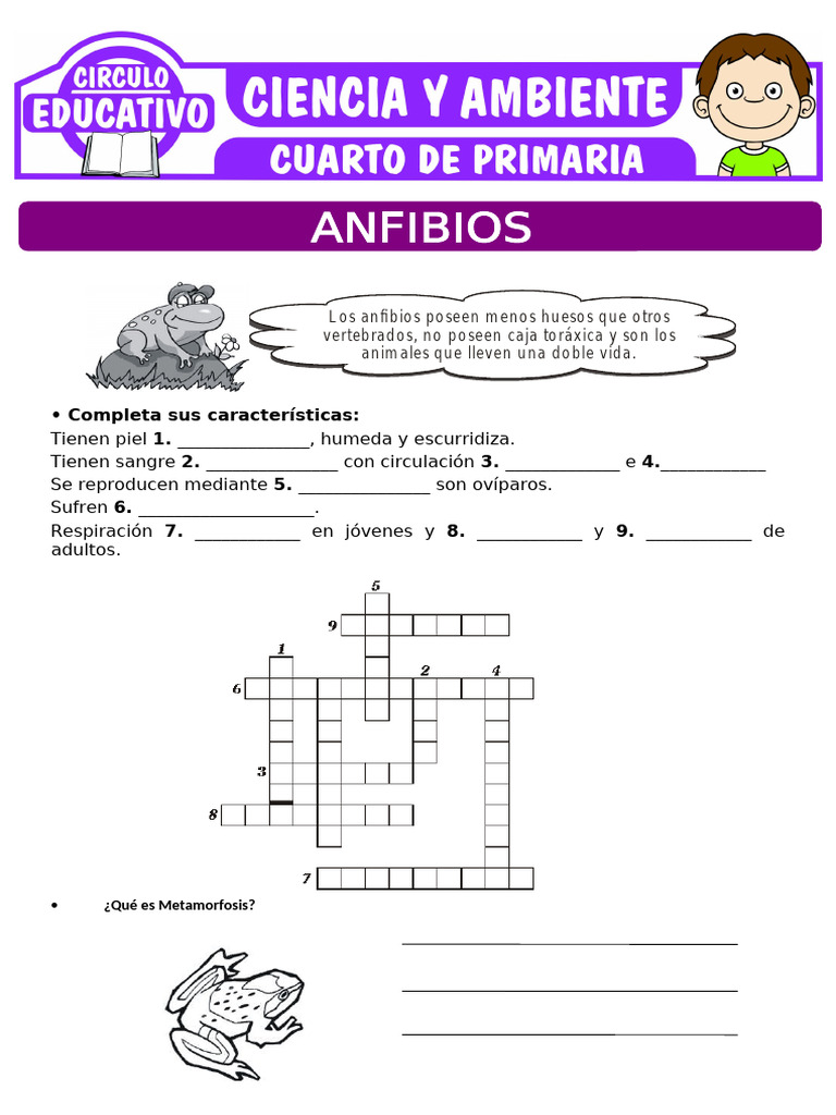 Características y Metamorfosis de Anfibios | PDF