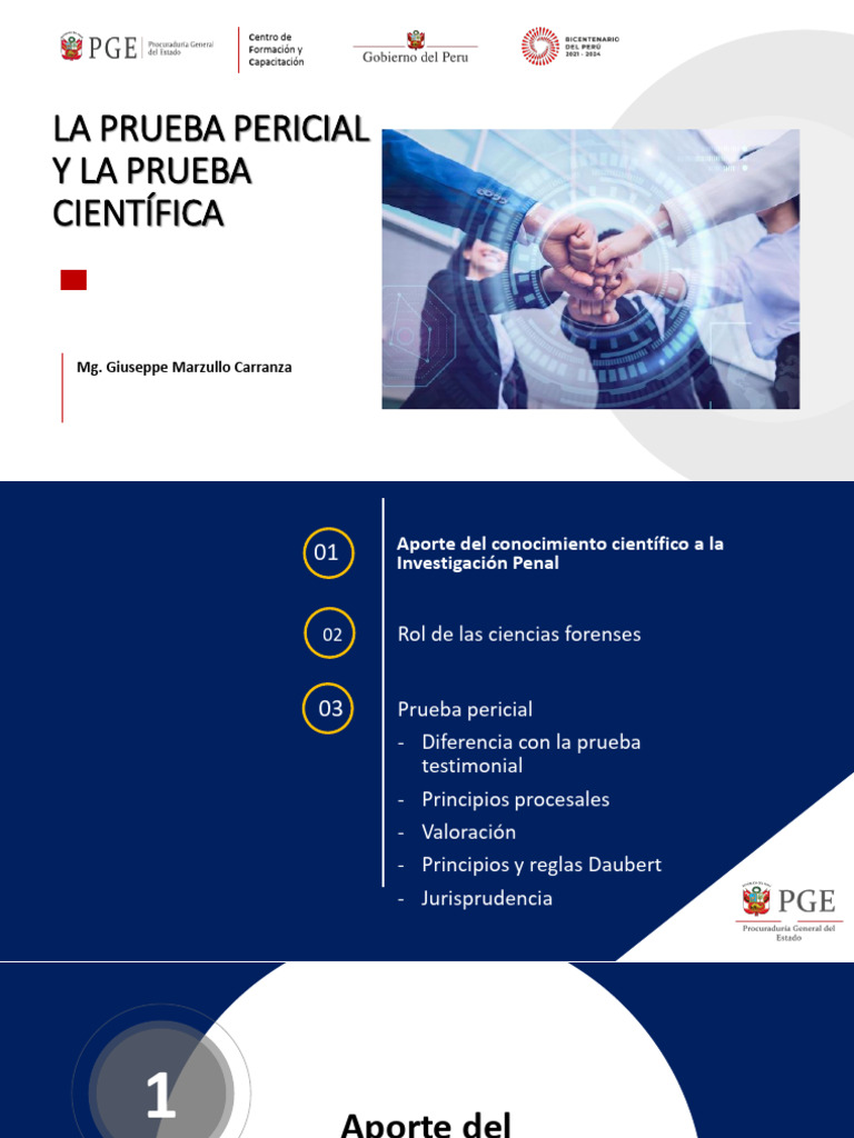 Prueba Pericial | PDF