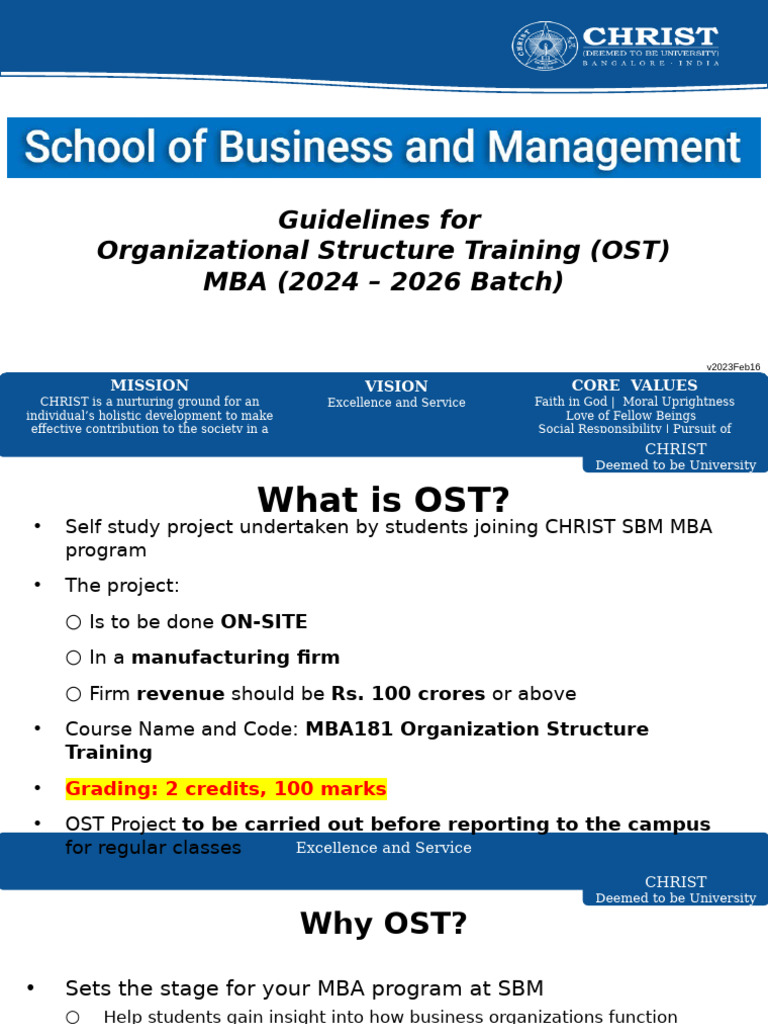 OST Guideline v1 20240218 | PDF | Business