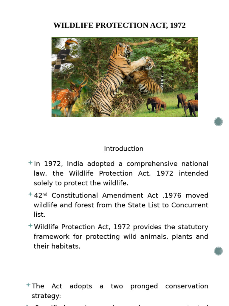 Wildlife Protection Act of 1972 Overview | PDF | Hunting | Wildlife