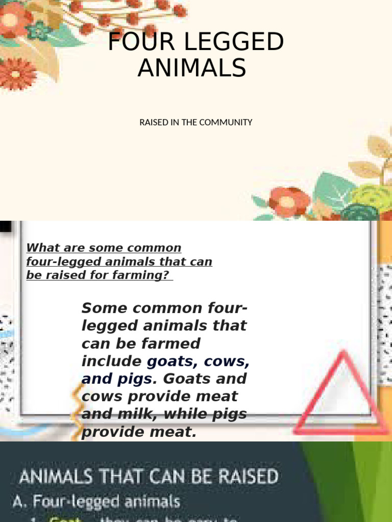 Four Legged Animals 2 | PDF