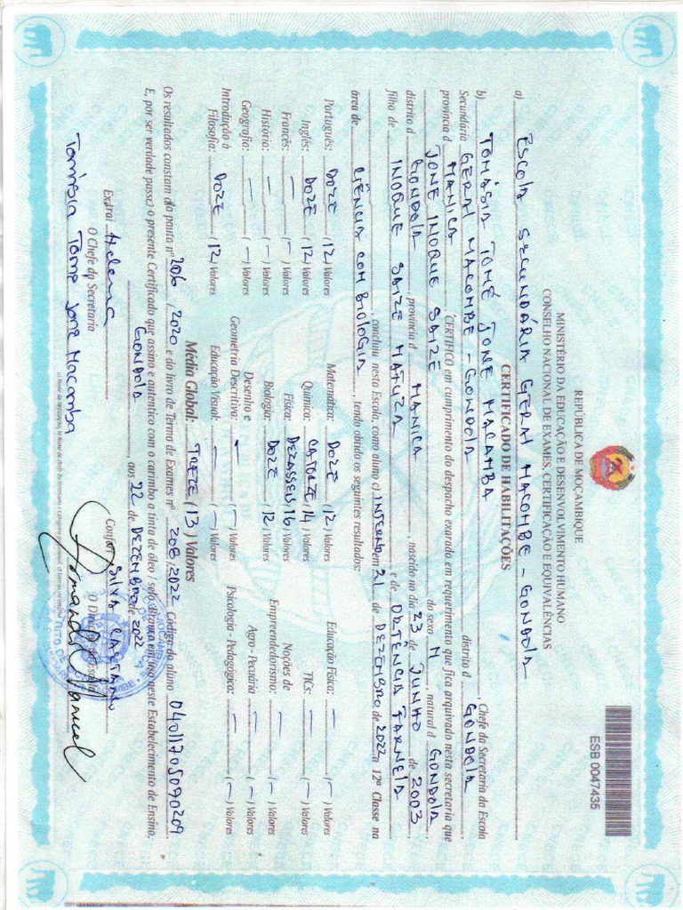 Certificado 12 | PDF