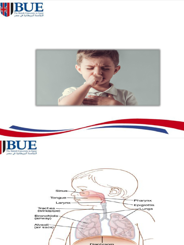 Management of Respiratory System Problems in Children | PDF | Pneumonia ...