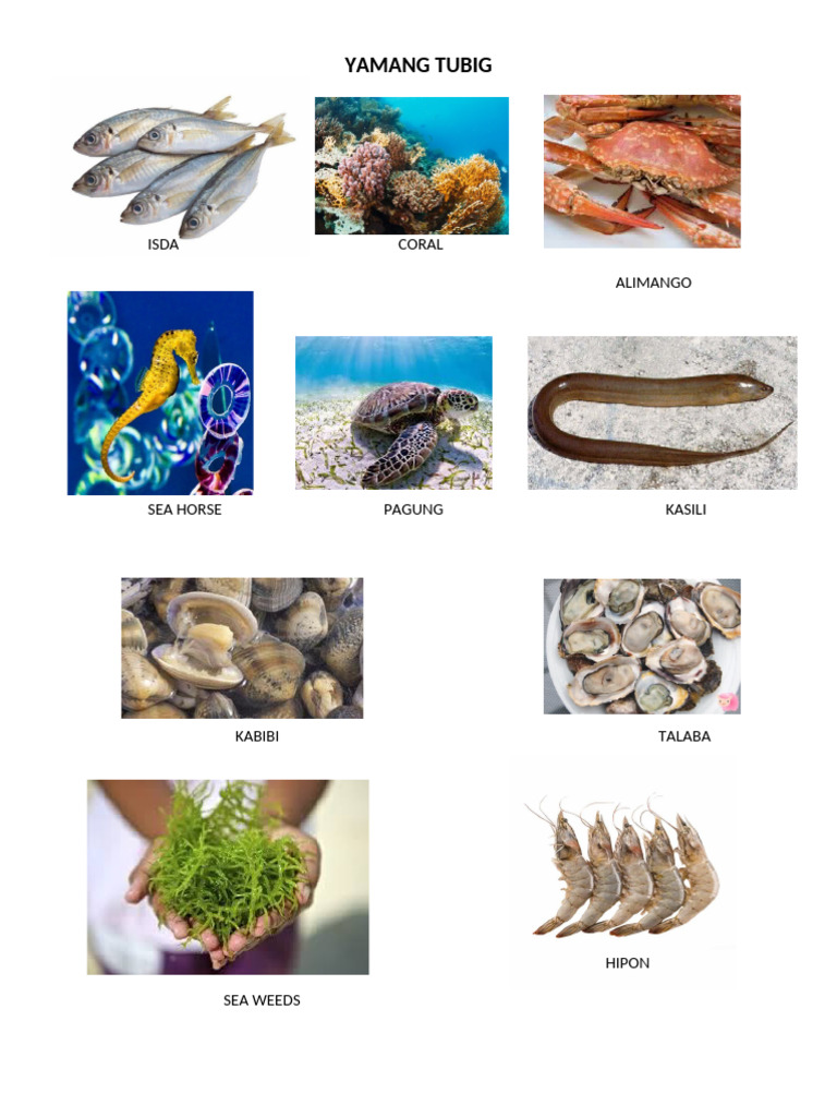 Yamang Tubig | PDF